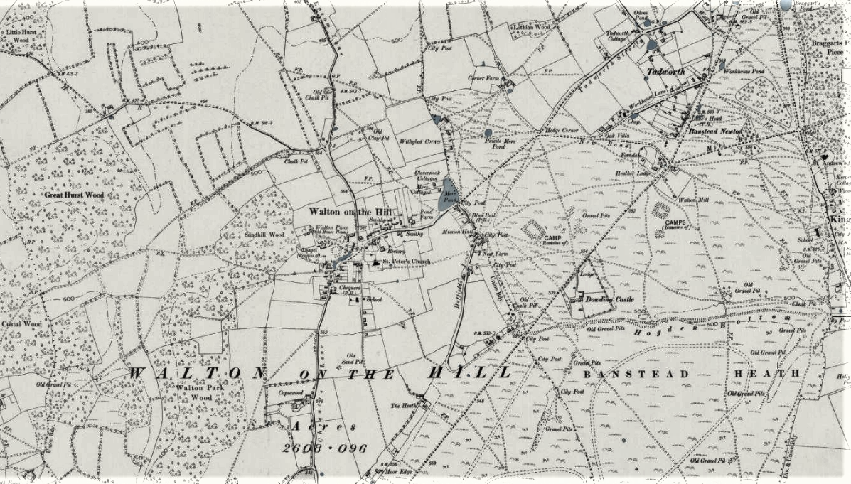 Railway Developments - Banstead Commons Conservators